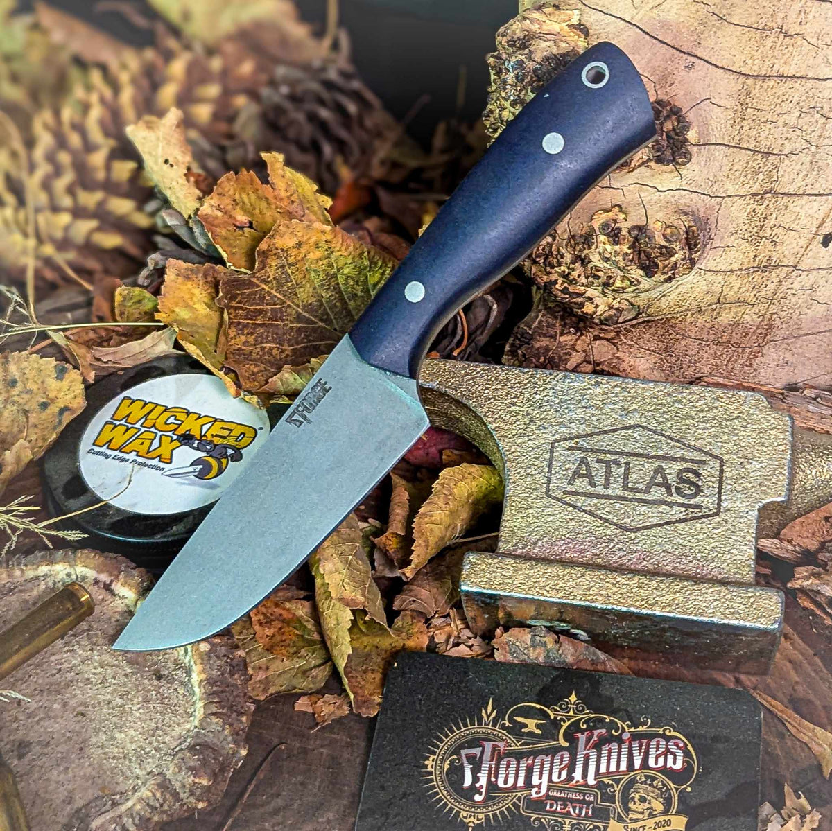 Limited Edition Beartooth Edc - Blue Richlite – 7Forge Knives