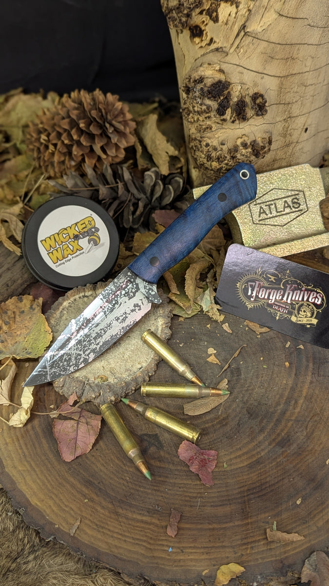 Coyote - blue curly poplar – 7Forge Knives