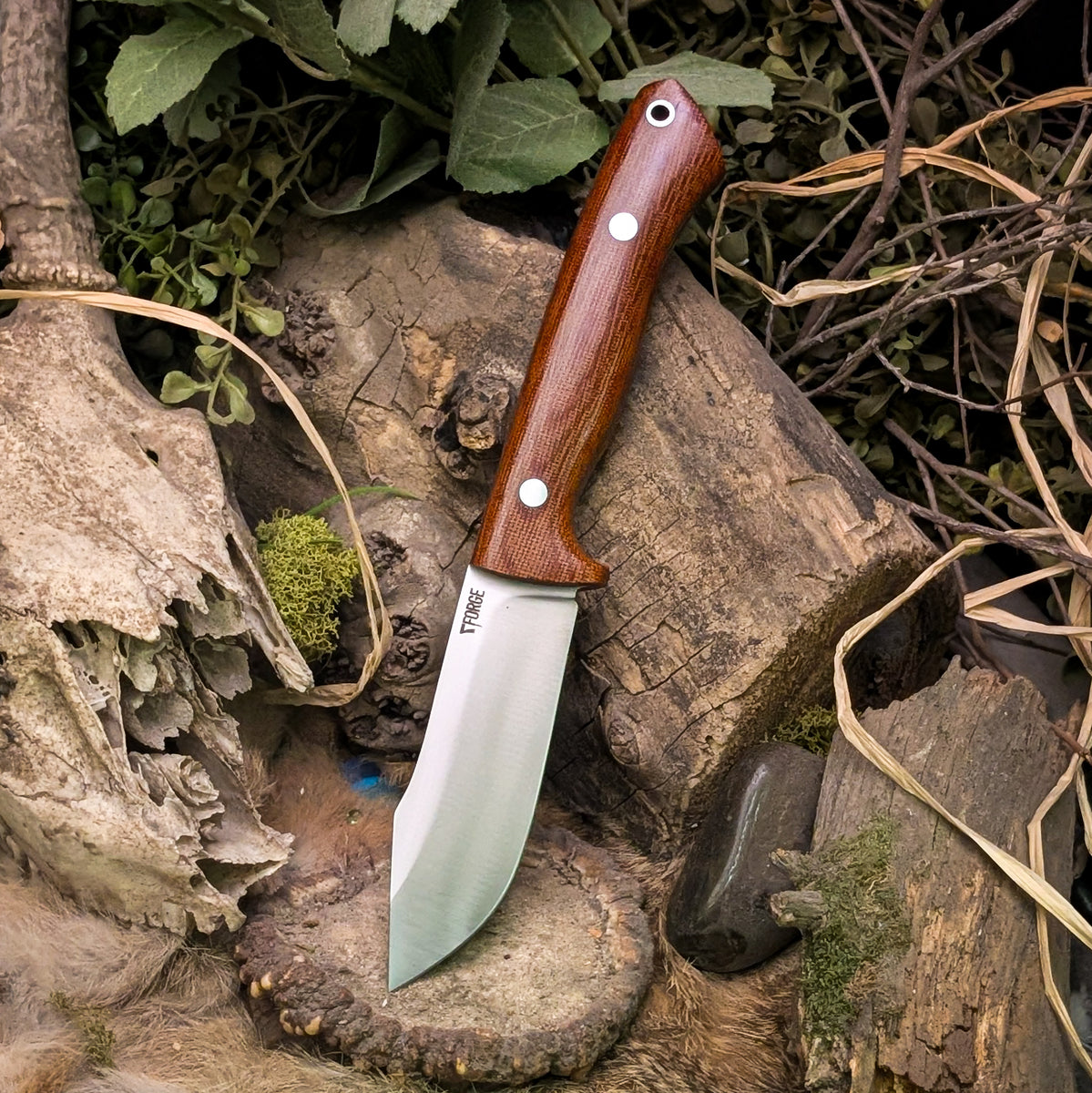 Steven Ness Artemis Trapper – 7Forge Knives