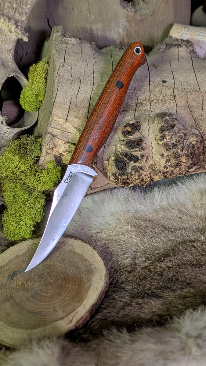 Dustin's kingfisher – 7Forge Knives