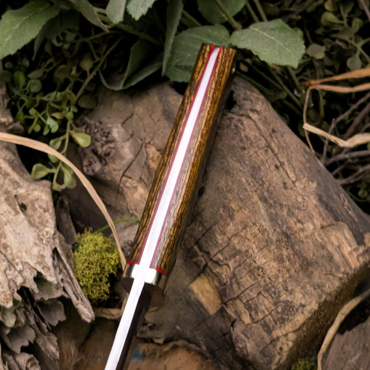 Highwater - bacote – 7Forge Knives