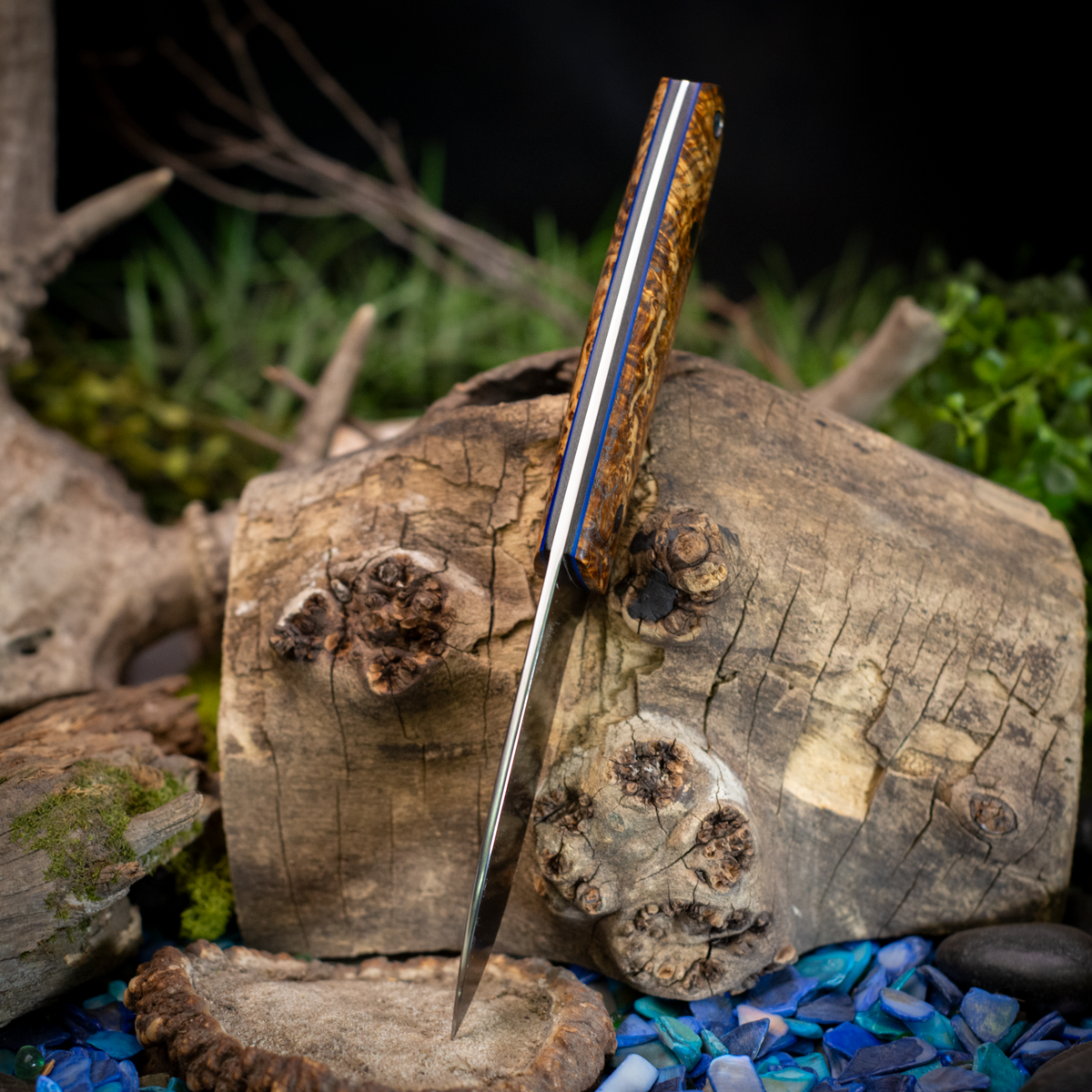 Bobcat - Black Ash Burl - Black canvas and Blue Liners - Black Pins ...